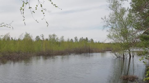 Panorama Flooded By Flood Siberian Taiga Stock Footage Video (100% ...