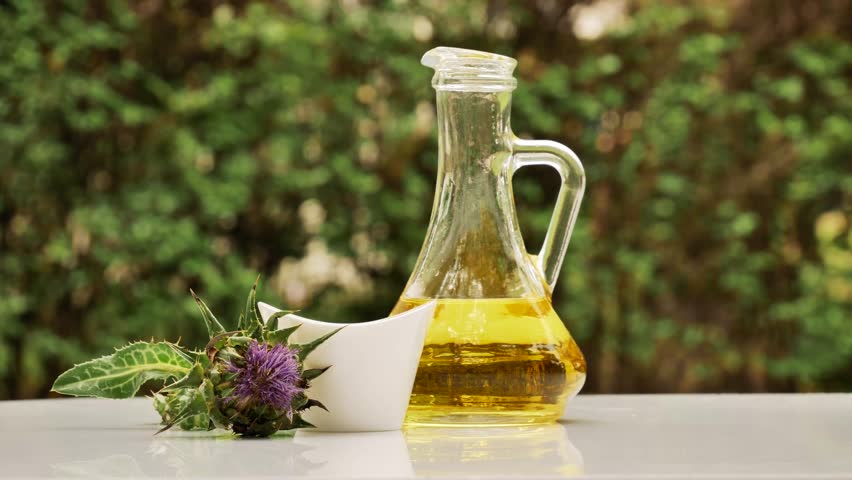 Spiny cup Stock Video Footage - 4K and HD Video Clips | Shutterstock