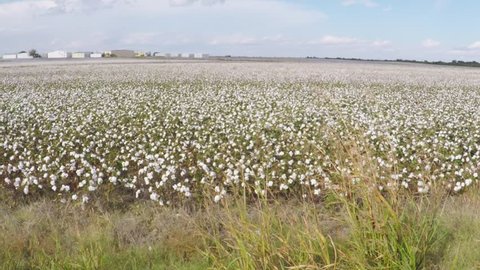 5,431 Dash cam Stock Video Footage - 4K and HD Video Clips | Shutterstock