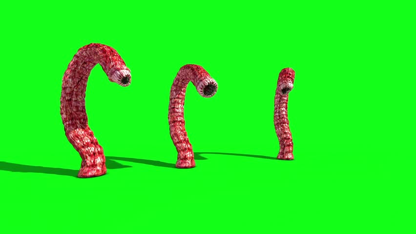 3 monstrous alien worms attack green Stock Footage Video (100% Royalty ...