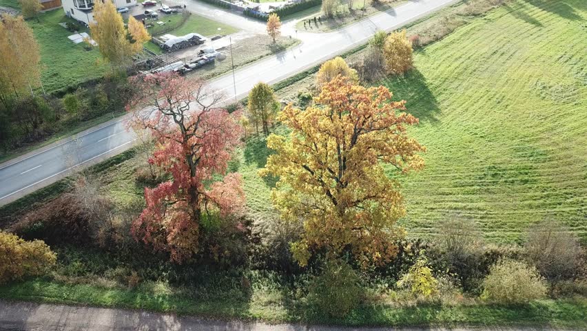 oak tree green field aerial drone Stock Footage Video (100% Royalty ...