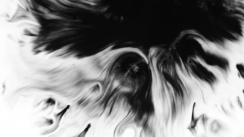 Ink Drop On Whiteink Bleed Bloomblack Stock Footage Video (100% Royalty ...