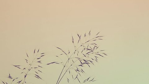 Clapping Hands Vector Seamless Pattern Stock Vector (Royalty Free ...