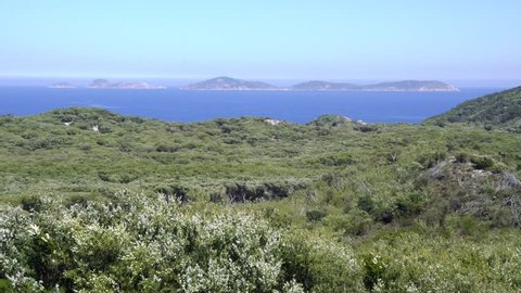 Coast Wild Native Forest Bushland Wilsons Stock Footage Video (100% ...