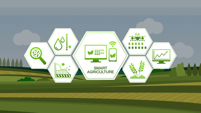 smart agriculture farming hexagon information graphic Stock Footage ...