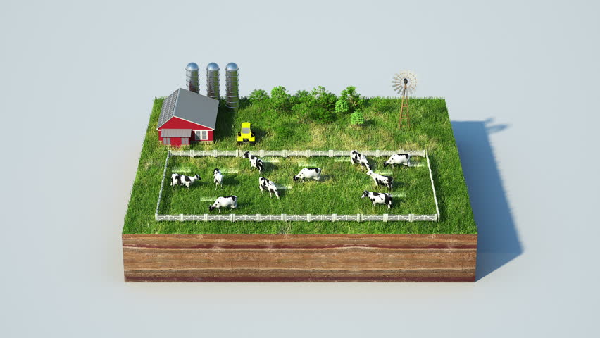 smart agriculture farm sensor connect cow Stock Footage Video (100% ...
