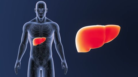 Running Woman Beating Heart Loop Stock Footage Video (100% Royalty-free ...