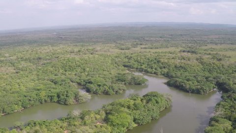 Aerial View River Flowing Through Forests Stock Footage Video (100% ...