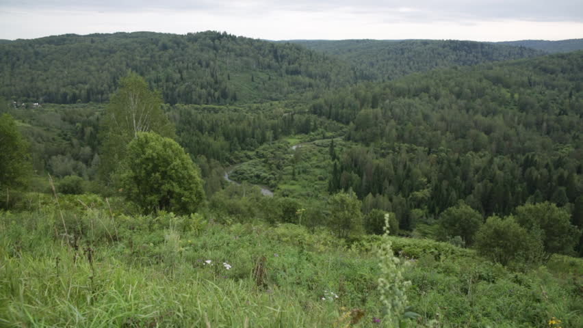 siberia taiga forest russia Stock Footage Video (100% Royalty-free ...