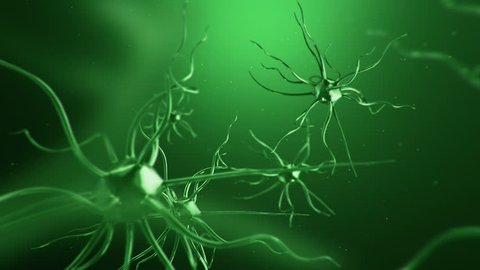 Animation Flying Camera Bacteria Virus Germs Stock Footage Video (100% ...