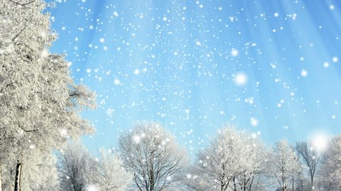 Winter Scene Falling Snow : vidéo de stock (100 % libre de droit ...