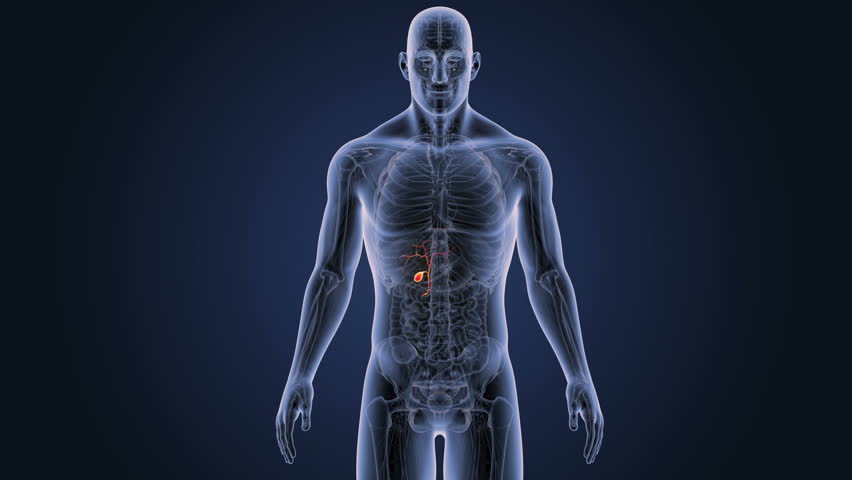 3d human body loop rotation Stock Footage Video (100% Royalty-free ...