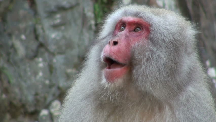 Beautiful Face of a Snow Stock Footage Video (100% Royalty-free ...