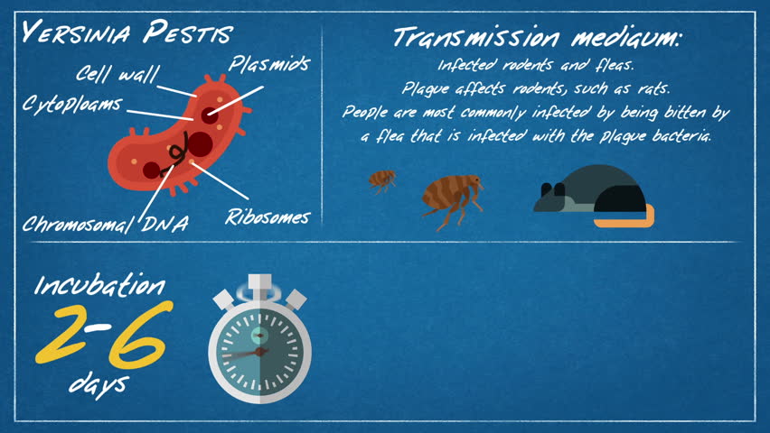 Pests Infographic Stock Video Footage 4k And Hd Video Clips