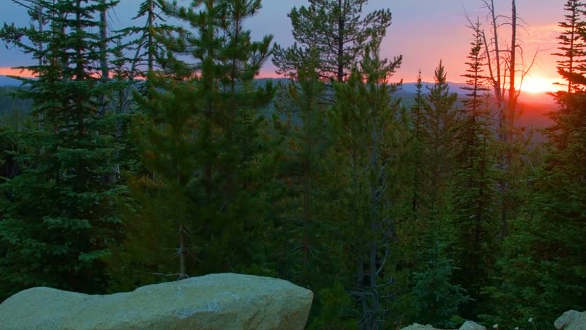 Trees and Mountain Landscape forest at Elkhorn Mountains image - Free ...