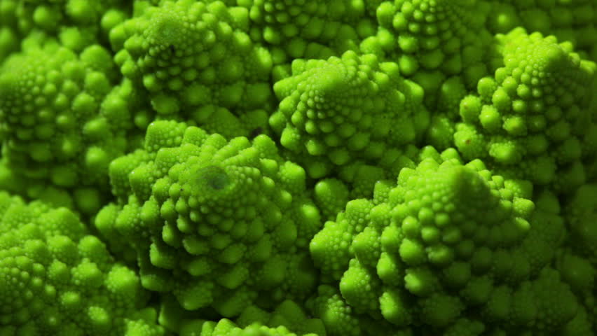 Romanesco Broccoli Cabbage Marco. Stock Footage Video (100% Royalty ...