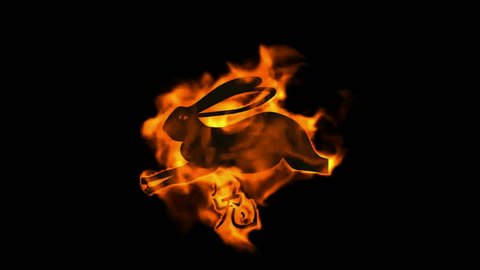 Chinese Zodiac Fire Rabbit Handwriting Chinese 스톡 동영상 비디오(100% 로열티 프리 ...