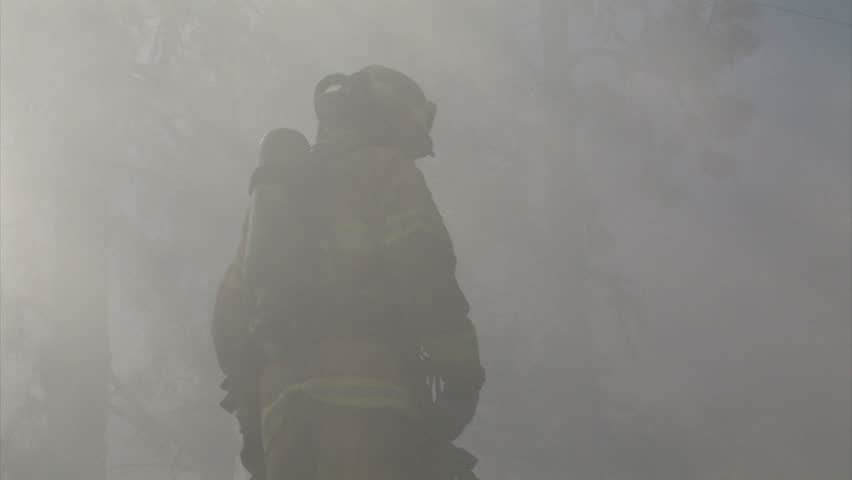 firefighter standing smoke surrounded by trees Stock Footage Video (100 ...