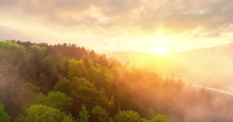 epic aerial flight over mist forrest Stock Footage Video (100% Royalty ...