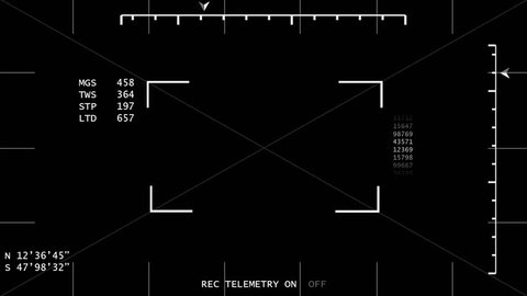 94 Night vision with crosshairs Stock Video Footage - 4K and HD Video ...