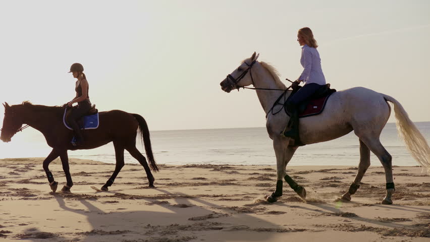horseback riding on beach sunrise three Stock Footage Video (100% ...