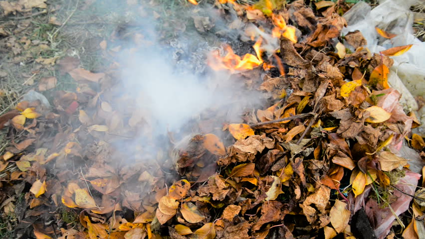 burning dry leaves garbage cleaning garden Stock Footage Video (100% ...