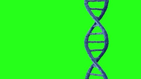 3d Animation Dna Green Screen Seamless Stock Footage Video (100% ...