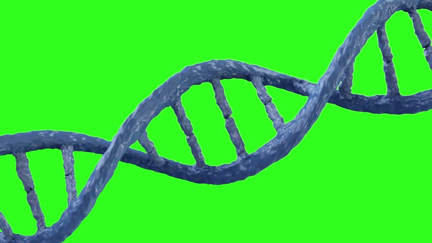 3d animation dna green screen seamless Stock Footage Video (100% ...