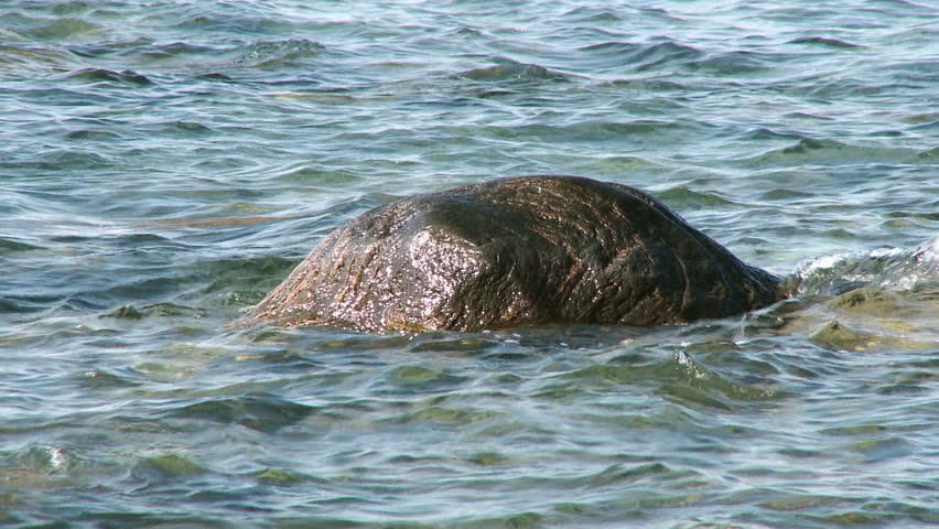 clear water movement around large rock Stock Footage Video (100% ...