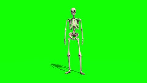 Green screen skull Stock Video Footage - 4K and HD Video Clips ...