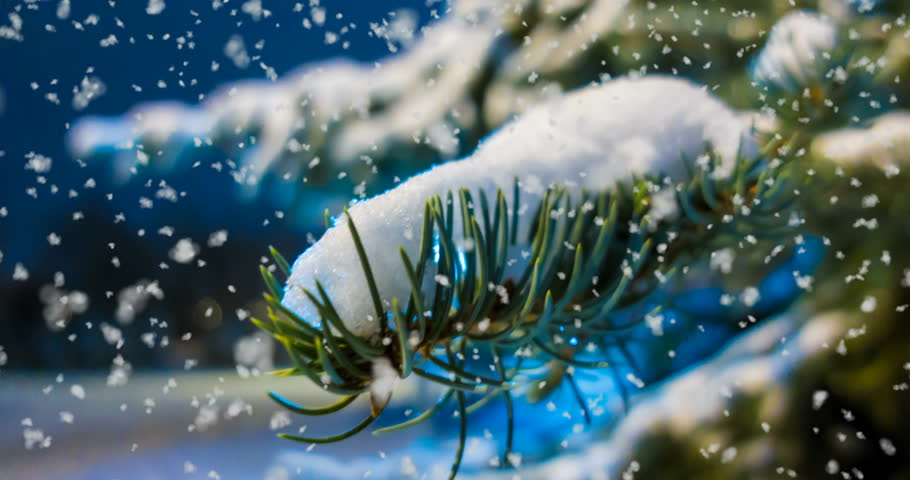Cinemagraph, 4k, Falling Snow in Stock Footage Video (100% Royalty-free ...