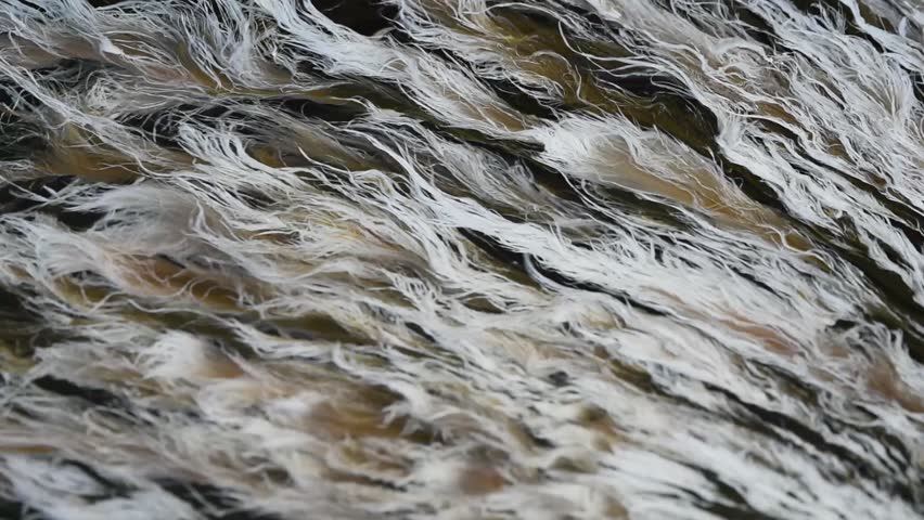 bacteria chloroflexus aurantiacus hot springs chae Stock Footage Video ...