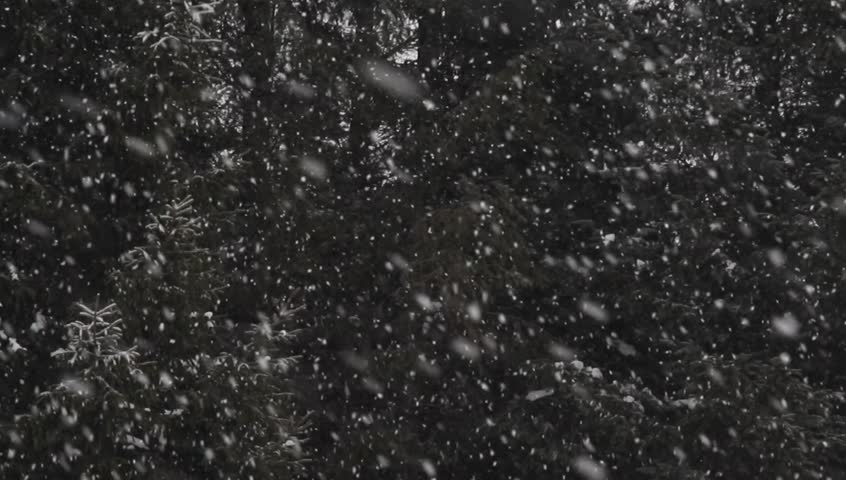 Heavy Snow Falling in Front Stock Footage Video (100% Royalty-free ...