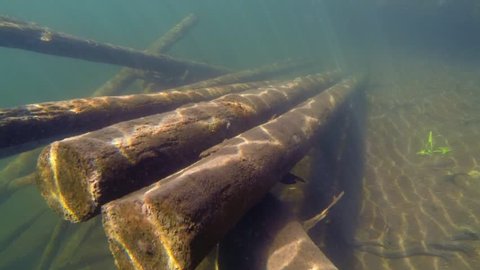 Old Structure Made Logs Left Underwater Stock Footage Video (100% ...
