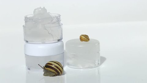 Snail Slime Cream Snail Mucus Extract Stock Footage Video (100% Royalty ...