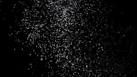 Natural Snow Falling Isolated On Black Stock Footage Video (100% ...