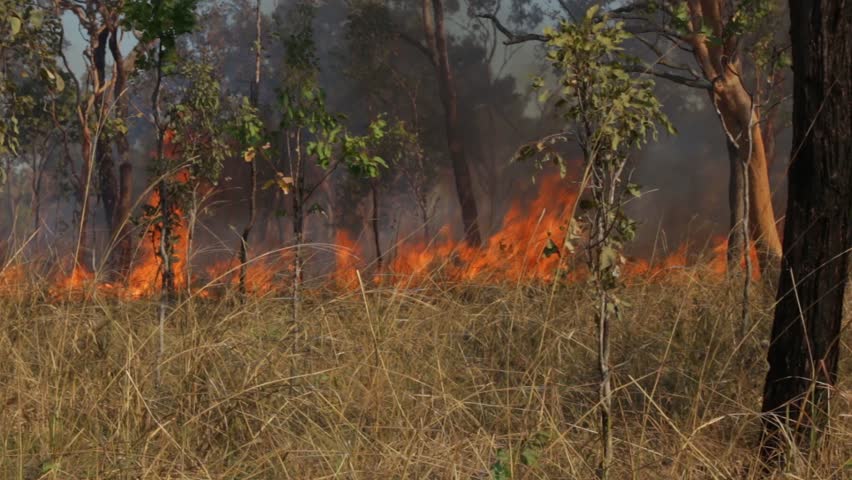 Burning Australian Bushfire Landscape in Stock Footage Video (100% ...