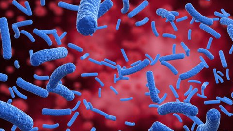 4k High Definition Microbiology Viruses Bacteria Stock Footage Video ...