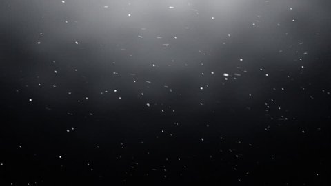 Snow Blizzard High Definition Animated Loop Stock Footage Video (100% ...