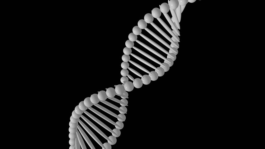 75,812 Genetics Stock Video Footage - 4K and HD Video Clips | Shutterstock