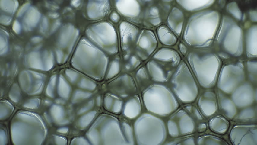 Sponge for Washing Dishes Under Stock Footage Video (100% Royalty-free ...