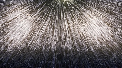 Asian Hair Texture Stock Photo 599242931 | Shutterstock