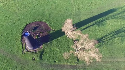 Black Mill On Beverley Westwood East Stock Footage Video (100% Royalty ...