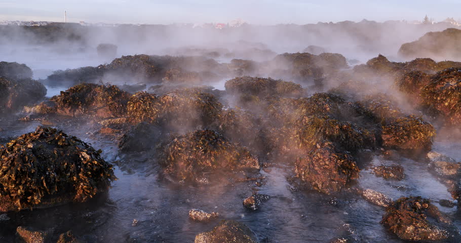 Steaming Seaweed Swamp, Coastal Geothermal Stock Footage Video (100% ...