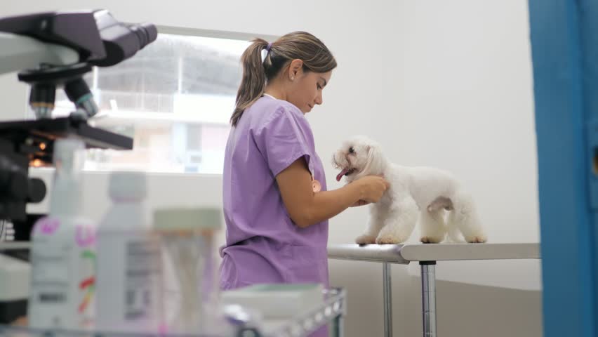 Vet microscope Stock Video Footage - 4K and HD Video Clips | Shutterstock