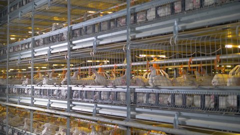 Cable Tray Refinery Chinacable Tray Stock Photo (Edit Now) 68892541