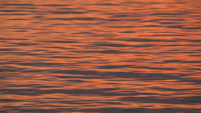abstract organic orange water background texture Stock Footage Video ...