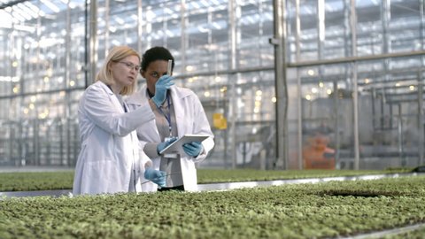 Pan Mature Female Crop Researcher Lab Stock Footage Video (100% Royalty ...