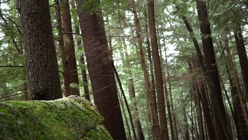 A Small Gorge in a Stock Footage Video (100% Royalty-free) 34301446 ...