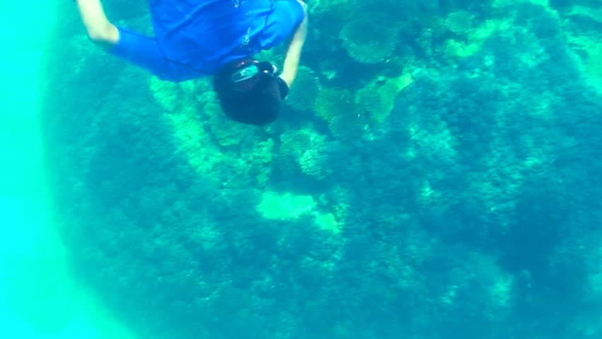 diver diving down Stock Footage Video (100% Royalty-free) 344053 ...